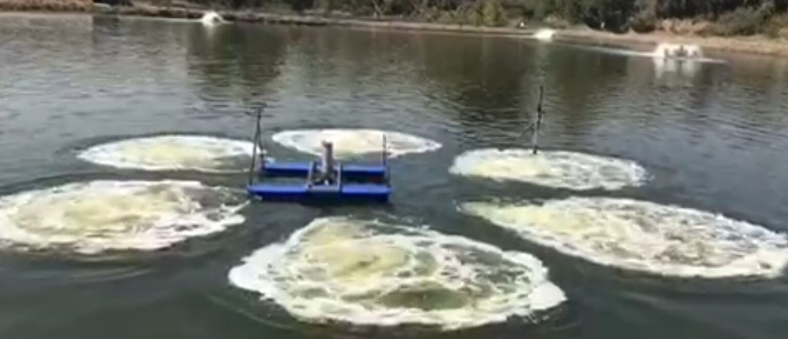 How to Buy Best Biofloc Air Pump For Fish and Shrimp Farming