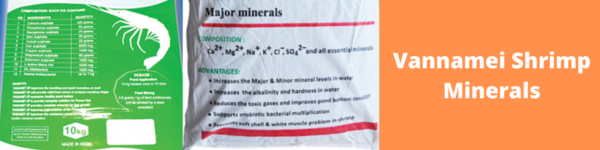 Buy Best Minerals for Vannamei Shrimp Farming Biofloc System