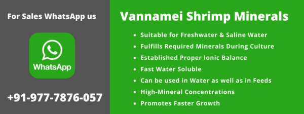 Buy Best Minerals for Vannamei Shrimp Farming Biofloc System