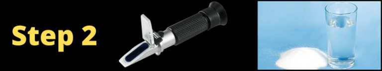 How to Hatch Artemia Eggs or Brine Shrimp Eggs Easy Way