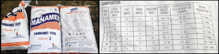 Vannamei Shrimp Feeding Schedule Management in Biofloc