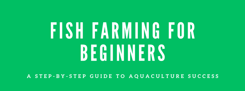 Fish Farming for Beginners: A Step-by-Step Guide to Aquaculture Success ...