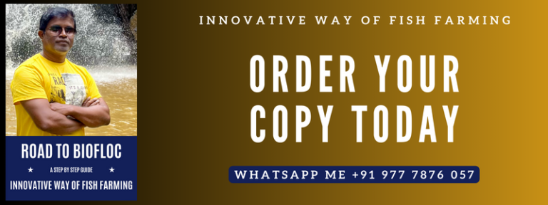 Fish Farming for Beginners: A Step-by-Step Guide to Aquaculture Success ...